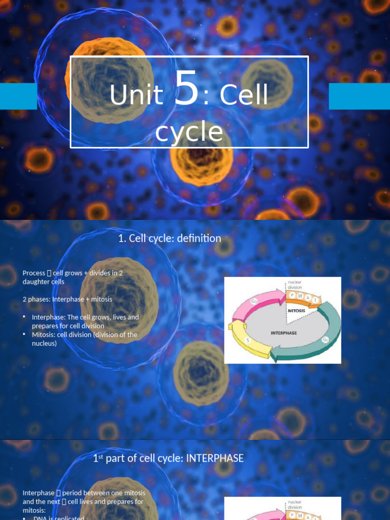 Tema 5 Cell Cycle | PDF | Meiosis | Mitosis