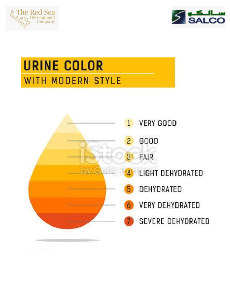 urine chart 2 | PDF