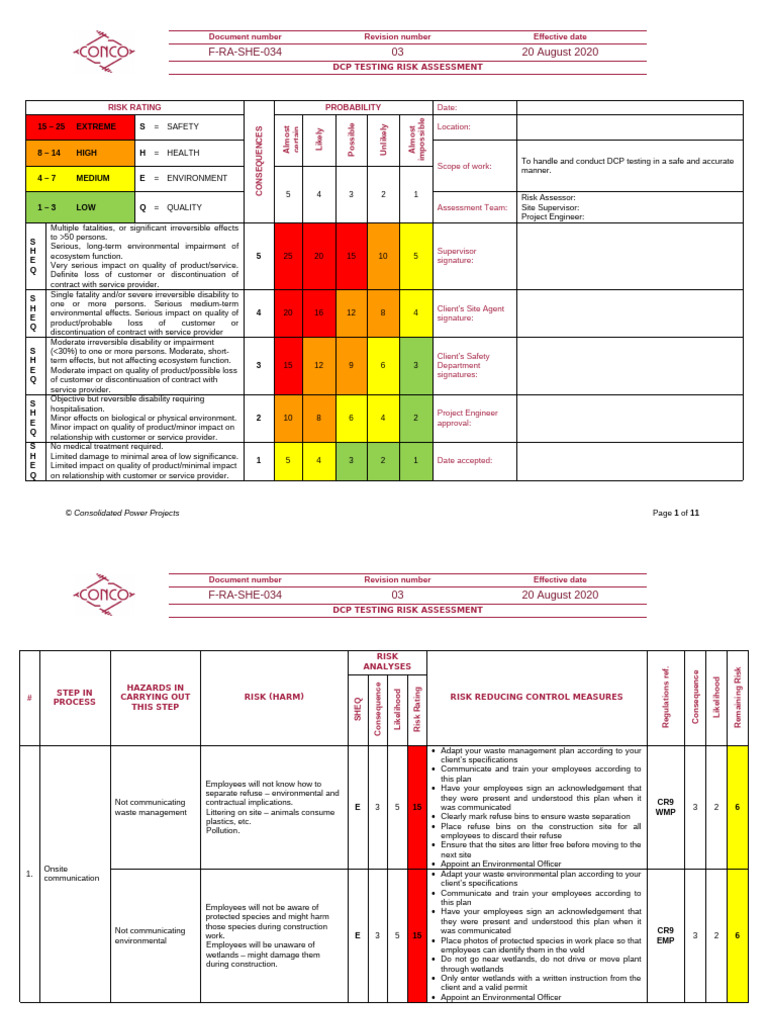 DCP Testing Risk Assessment Guide | PDF | Risk