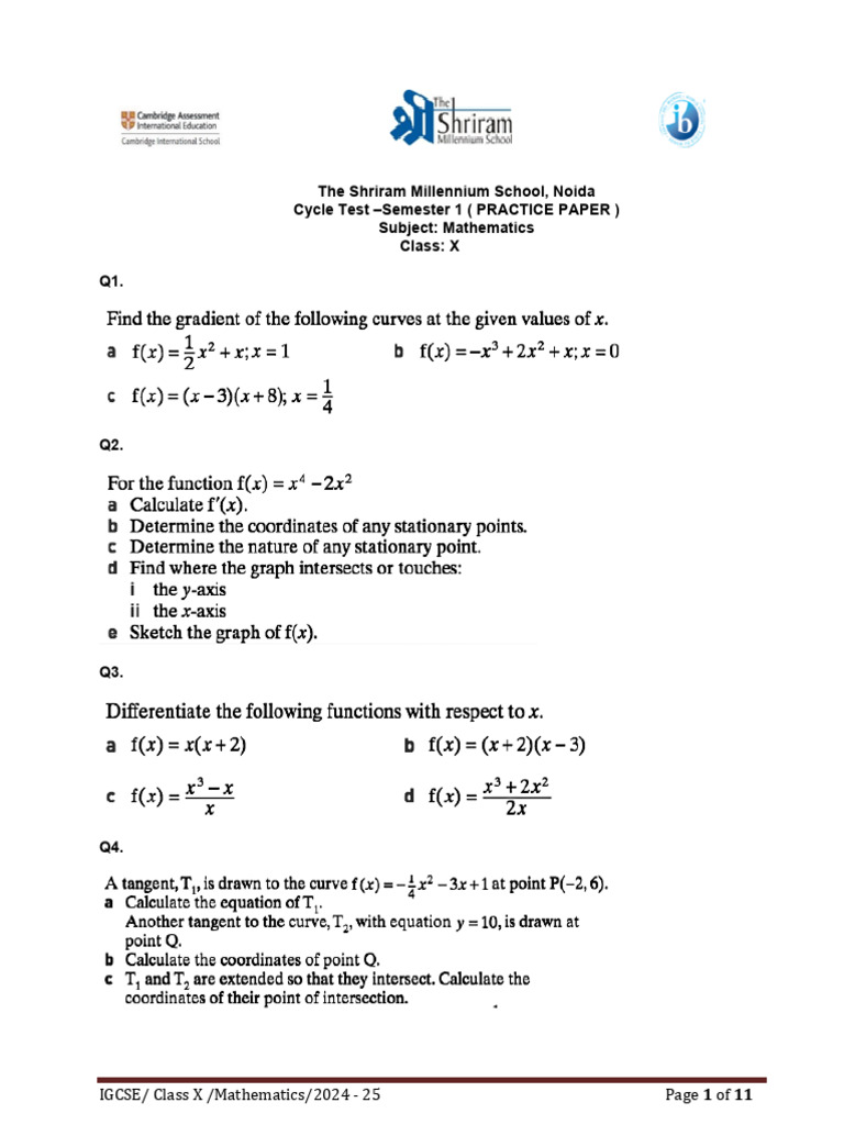 The Shriram Millennium School, Noida Cycle Test - Semester 1 (PRACTICE ...