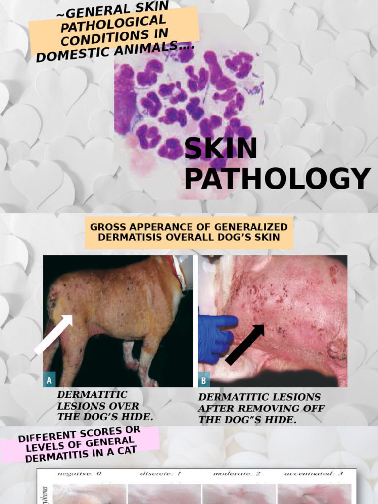 General Skin Pathological Conditions in Domestic Animals | PDF