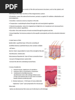 3-D Skin Model Project Guide | PDF | Skin | Anatomy