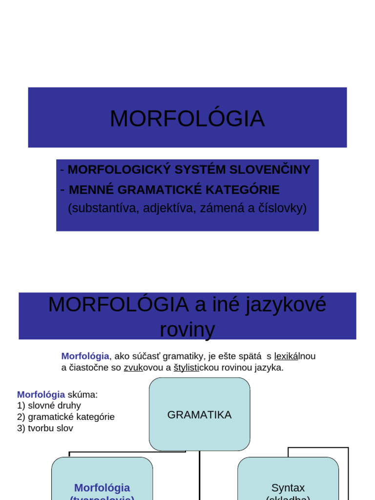 MORFOLÓGIA Menne Kategorie | PDF