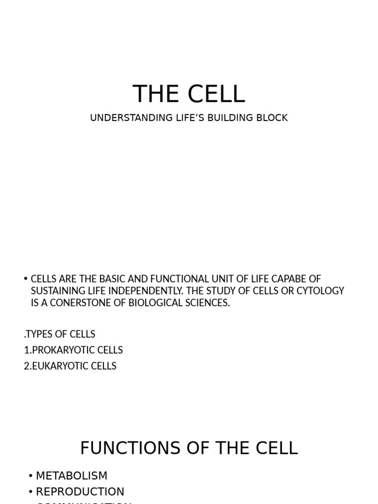 Justin Sigma Ohio Rizzler Project | PDF