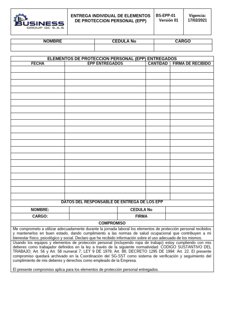 Entrega Individual EPP | PDF