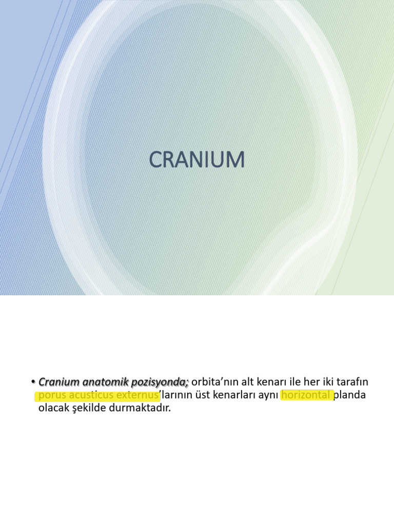 Cranium Bütünü | PDF