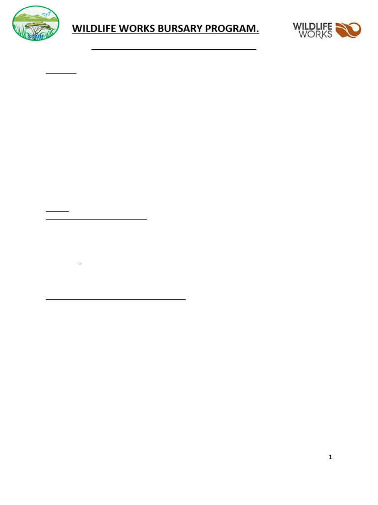 Bursary Application Form FY 2025 | PDF