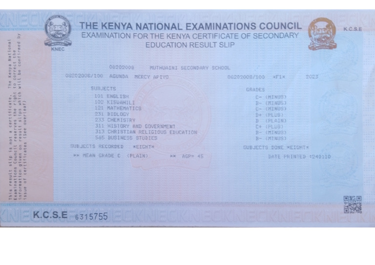 ACE Scanner - 2025 - 01 - 21 | PDF