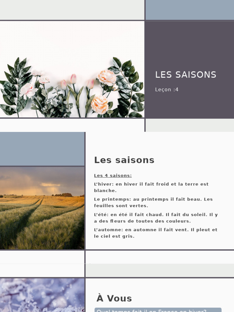 Lesson - 4 Les Saisons | PDF