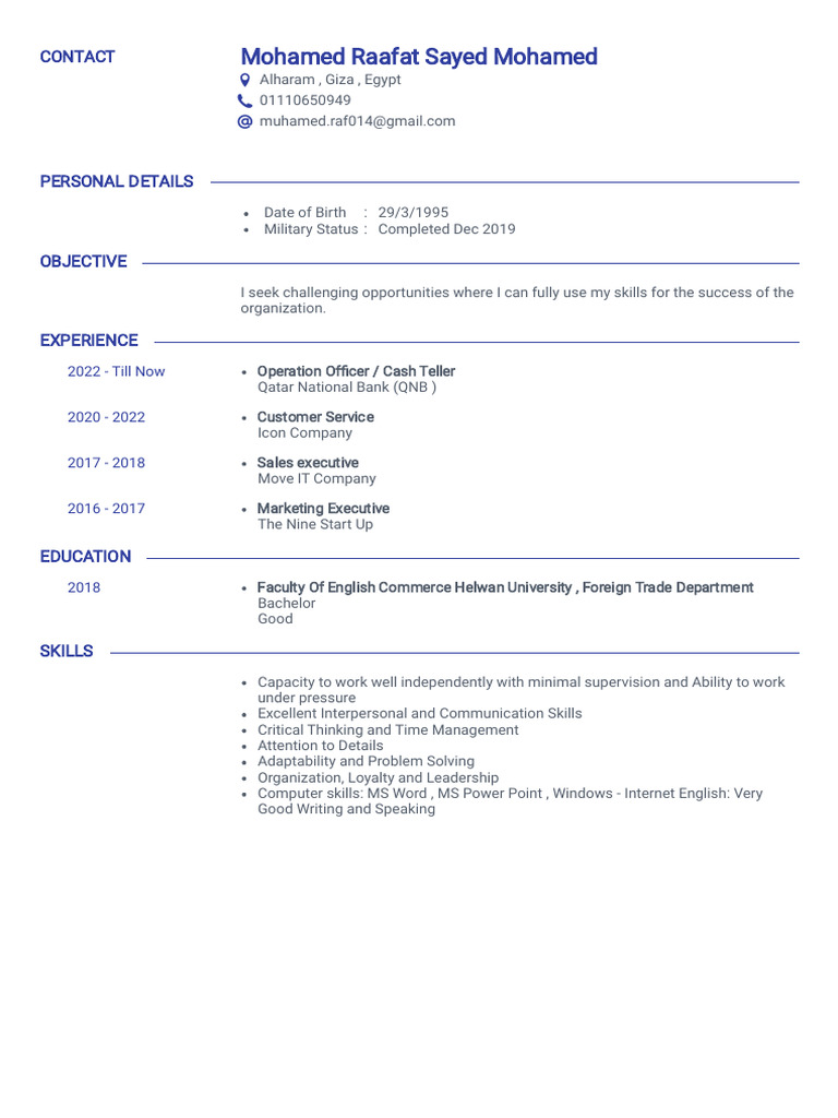 Mohamed Raafat Cv. | PDF