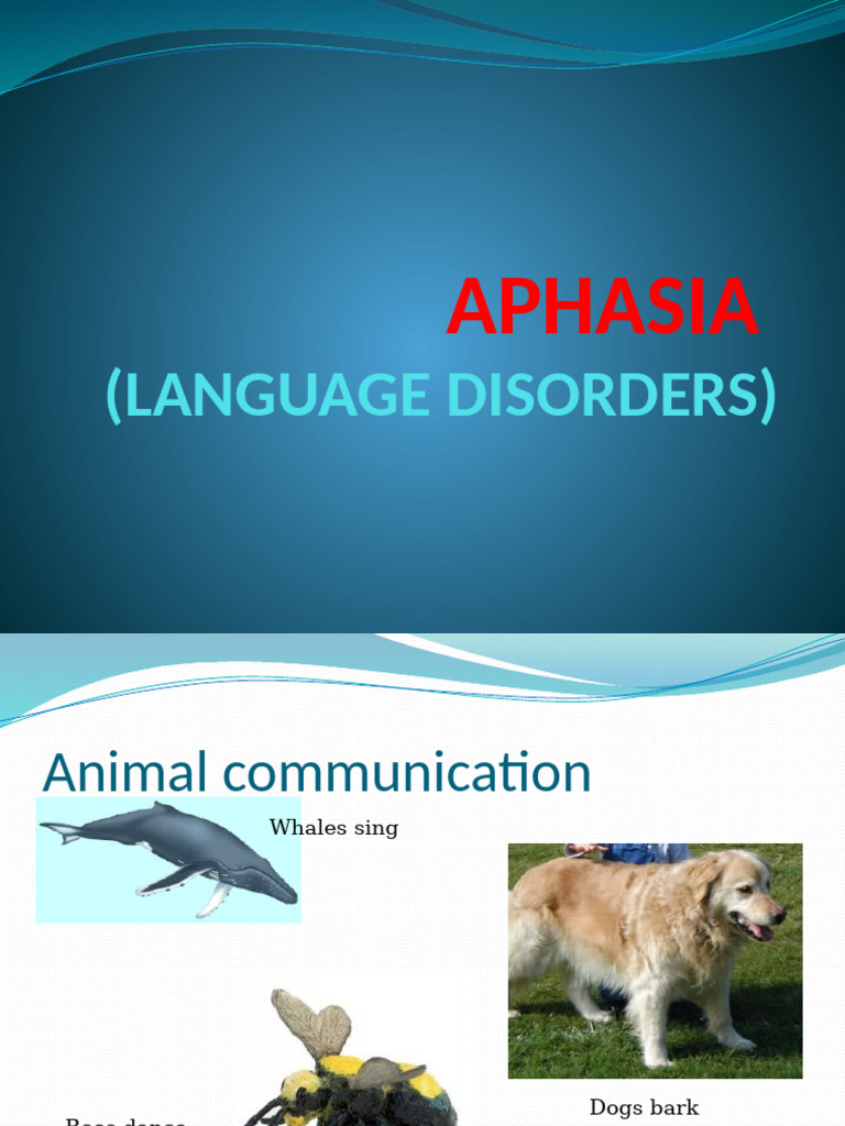 Aphasia by Arif | PDF | Speech | Aphasia