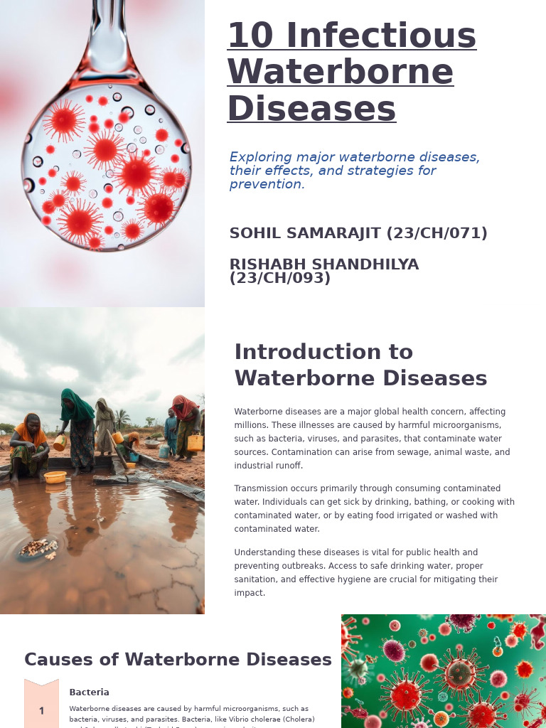 Major Waterborne Diseases Explained | PDF | Diarrhea | Cholera