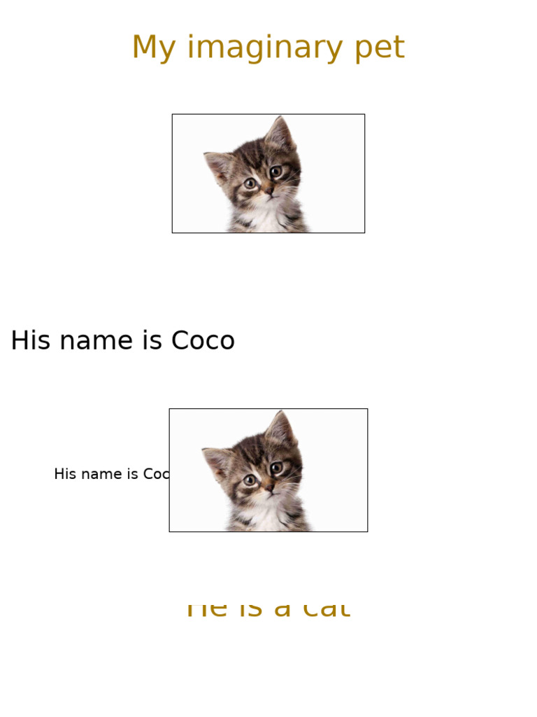 My Imaginary Pet | PDF