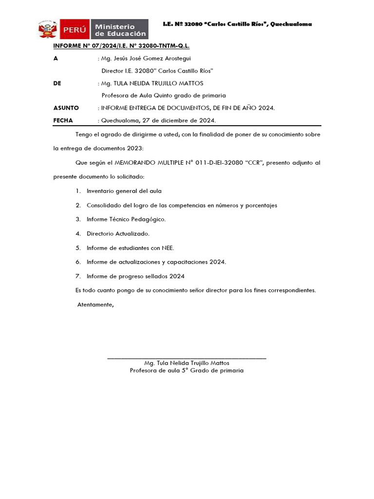 INFORME PRESENTACION DOCUMENTOS TULA 2024 | PDF