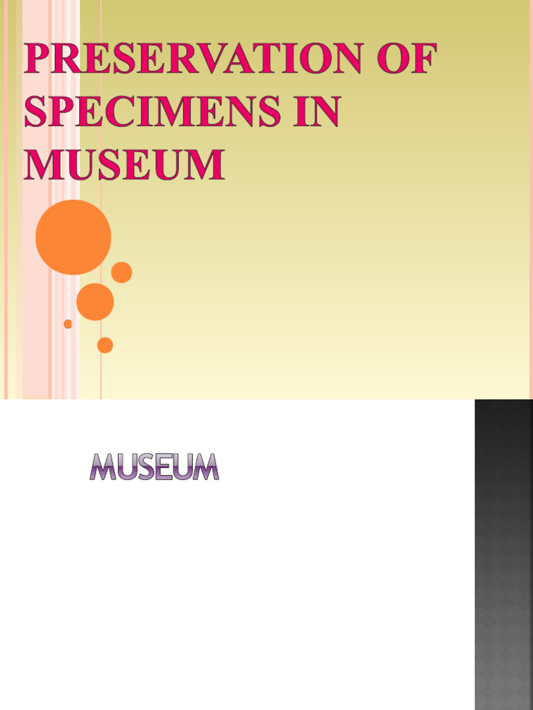 Museum Specimen Preservation Techniques | PDF | Fixation (Histology ...