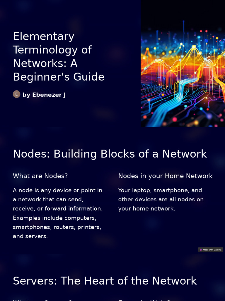 Elementary Terminology of Networks A Beginners Guide | PDF | Computer Network | Ip Address