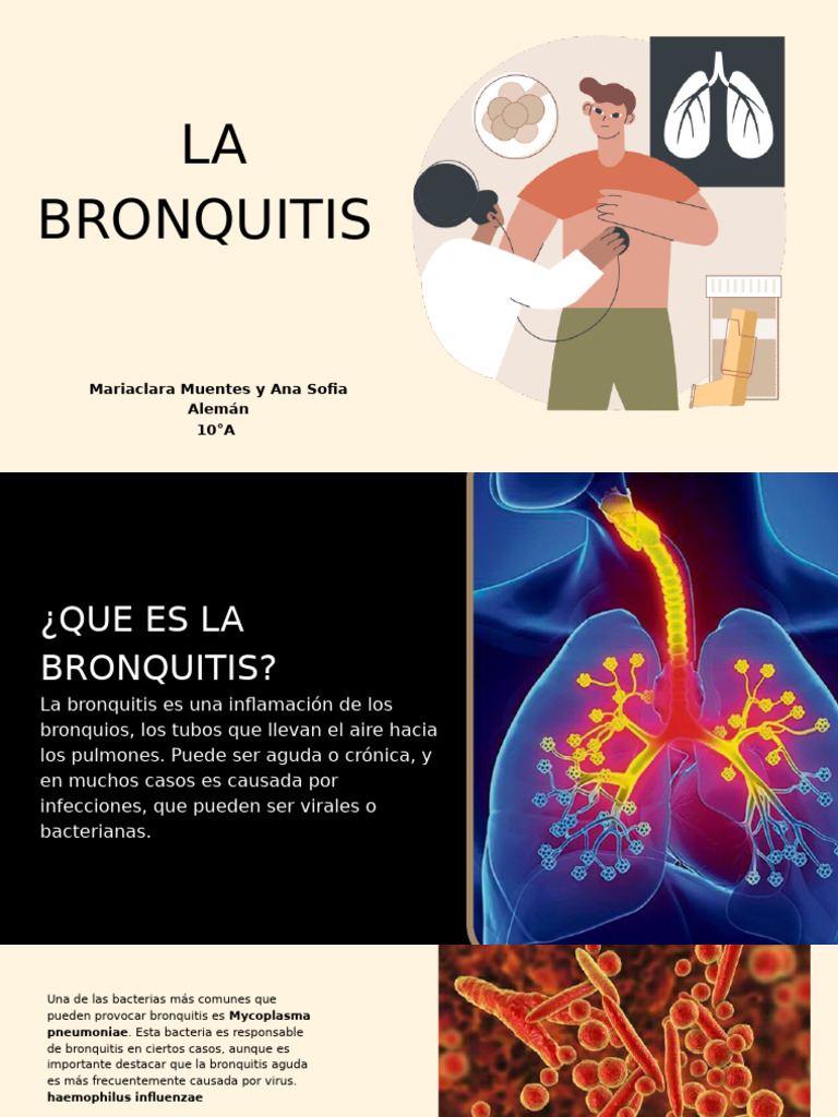Guía Completa sobre la Bronquitis | PDF | Bronquitis | Enfermedades y ...