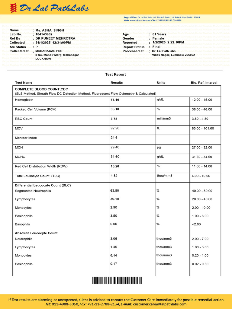 Report F2025-02-01T142457.84 | PDF | Medical Specialties | Hematology