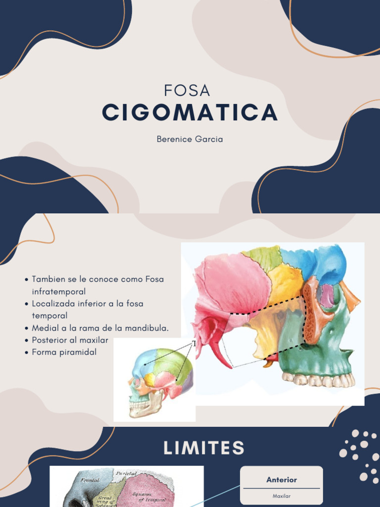 Fosa 20250205 081015 0000 | PDF