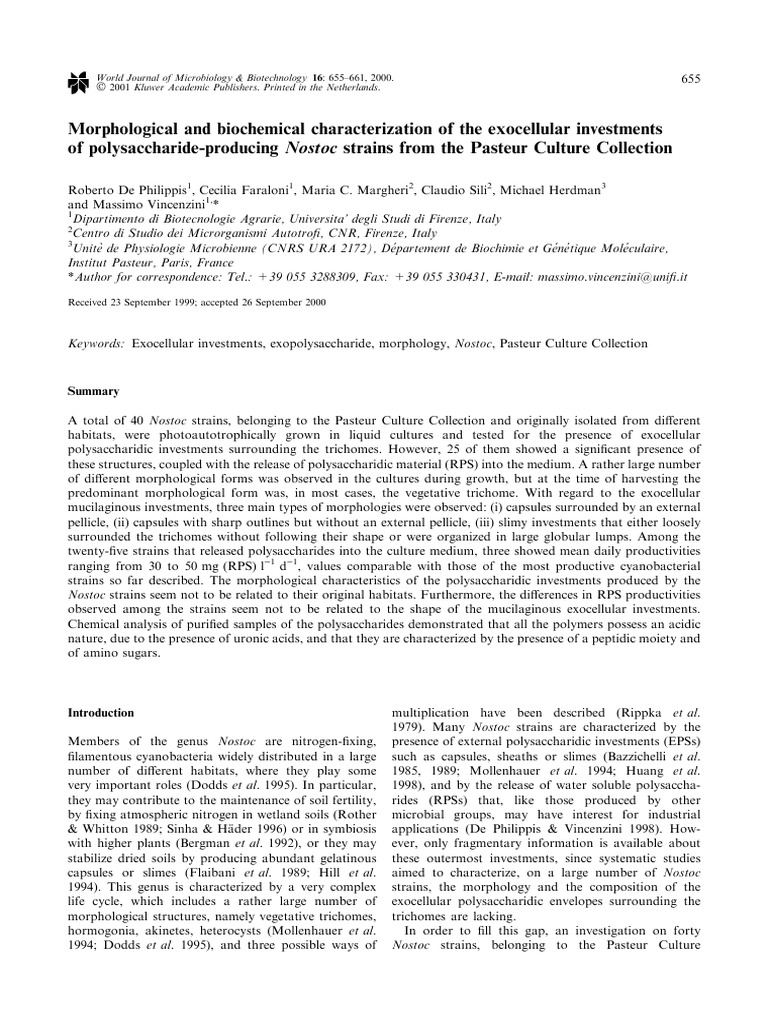 Morphological and Biochemical Characterization of The Exocellular ...
