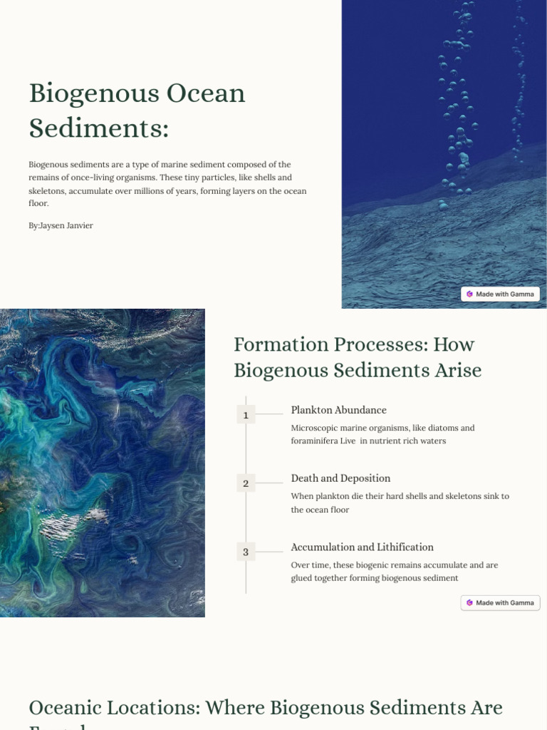 Biogenous Ocean Sediments Explained | PDF | Oceans | Plankton