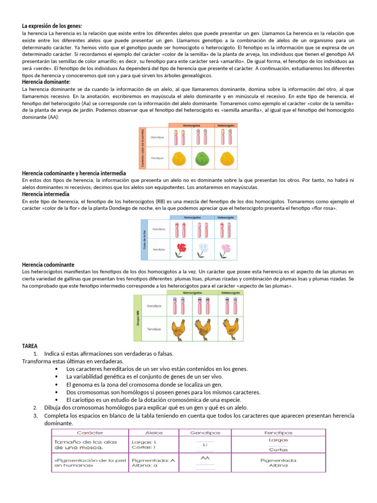 Tipos de Herencia Genética | PDF | Dominancia (Genética) | Alelo