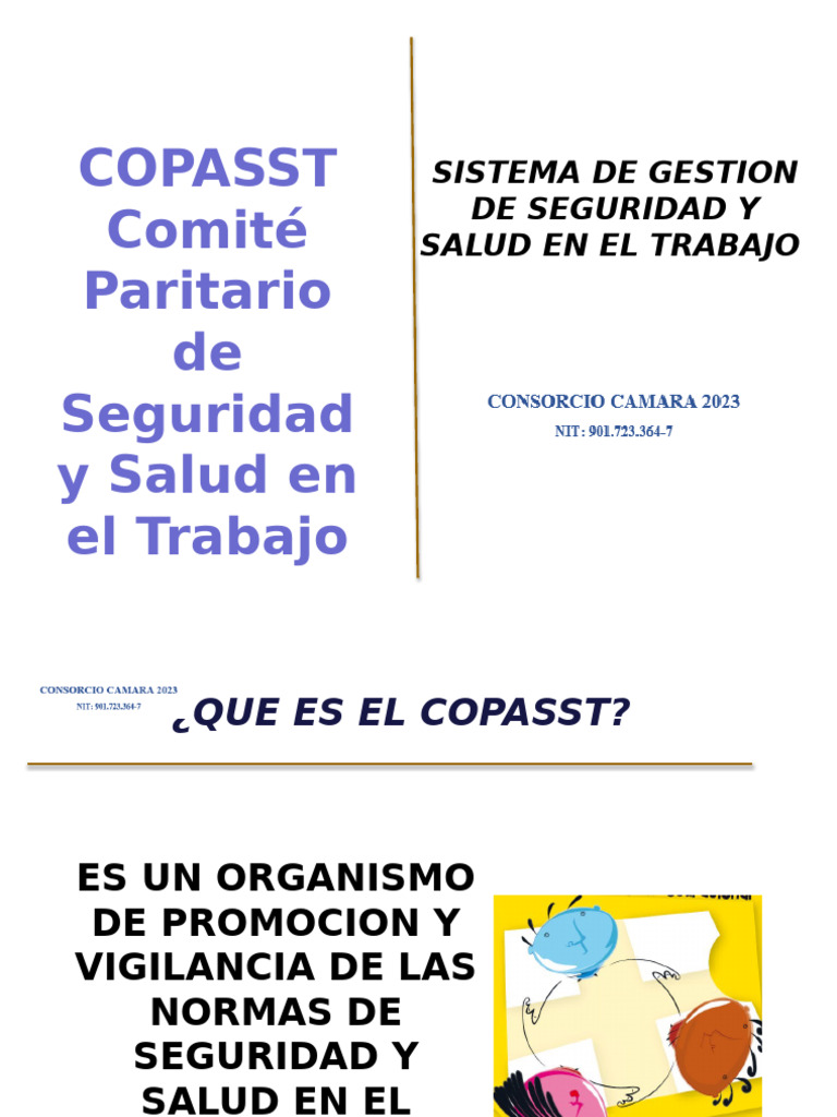 Copasst Presentacion | PDF