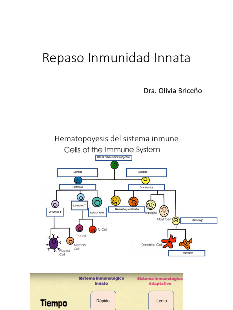 Repaso Inmunidad Innata | PDF | Sistema linfático | Sistema inmune