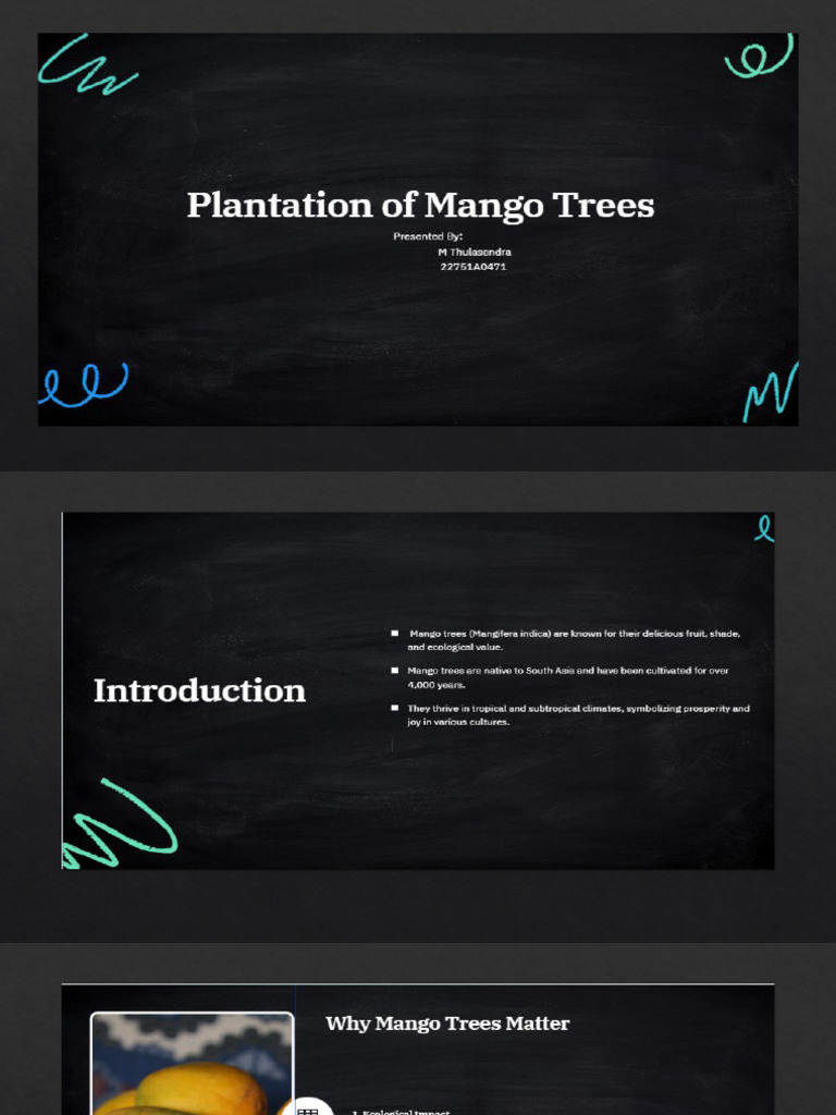 Plantation | PDF