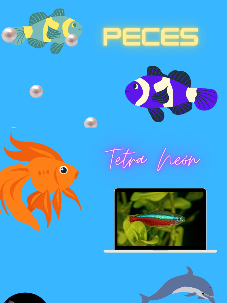Copia de Copia de Peces - 20250205 - 160506 - 0000 | PDF