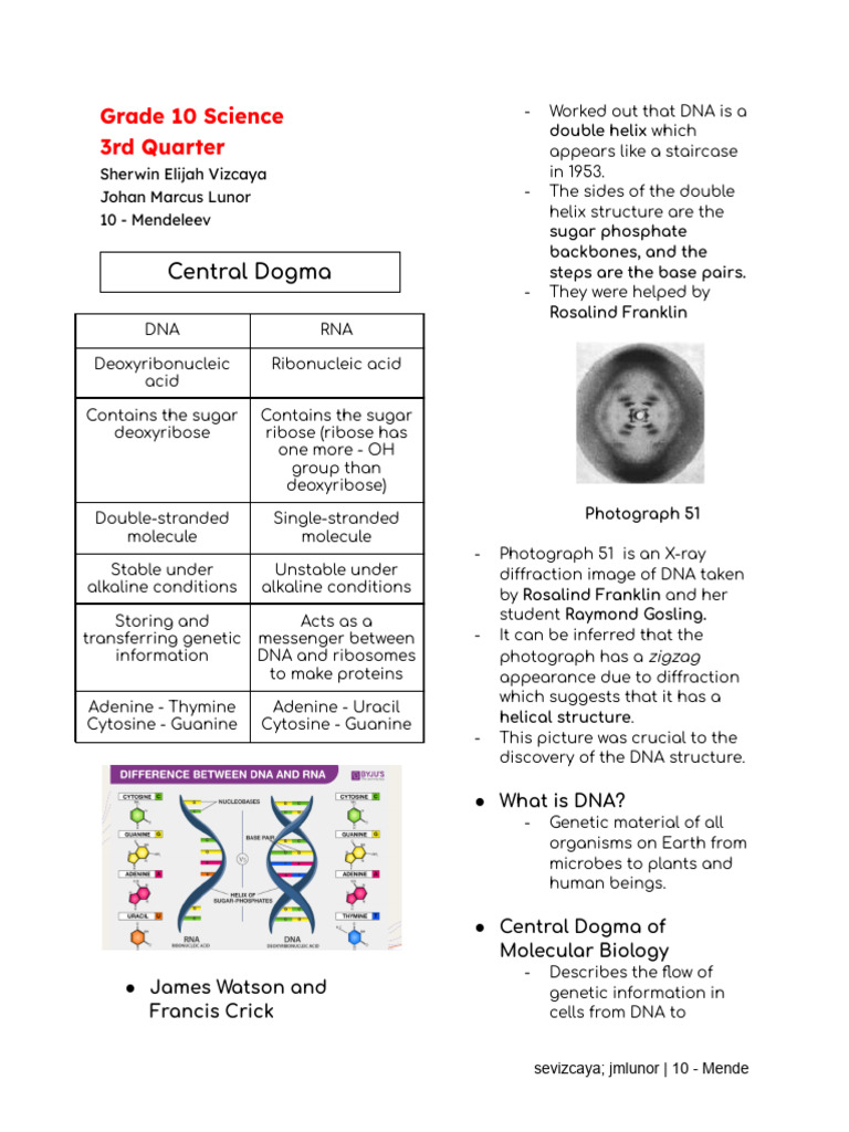 Science 3rd Quarter (1) | PDF | Translation (Biology) | Messenger Rna
