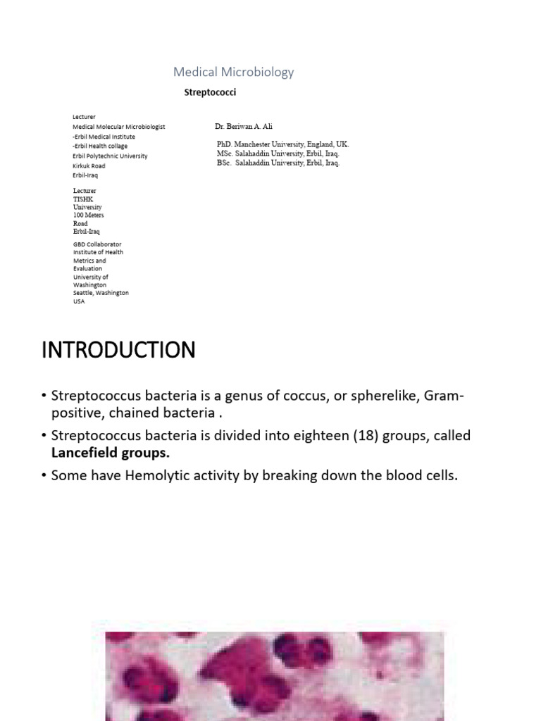 Phar MB Streptococci Week 2. | PDF | Streptococcus | Medical Specialties