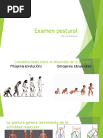 Evaluación Postural | PDF