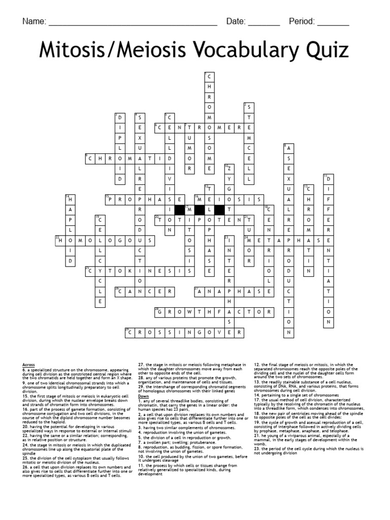 MitosisMeiosis Vocabulary Quiz Answer Key | PDF | Mitosis | Chromosome