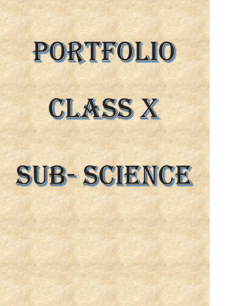 class X portfolio (2) | PDF