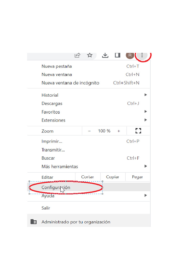 Guía Rápida: Borrar Cookies | PDF
