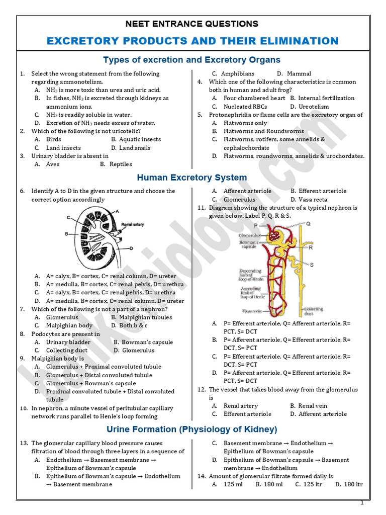 19 excretory products and their elimination-Entrance questions | PDF | Kidney | Urinary System