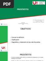 Prostatitis y epididimoorquitis: Guía clínica | PDF | Próstata ...