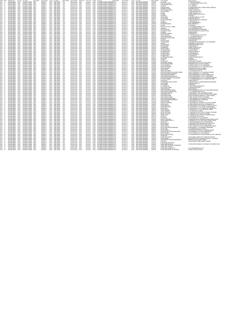 Maping Customer 2024 12 | PDF