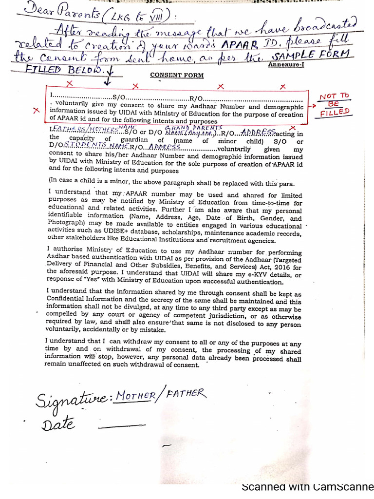 Sample Form with filling guidelines | PDF