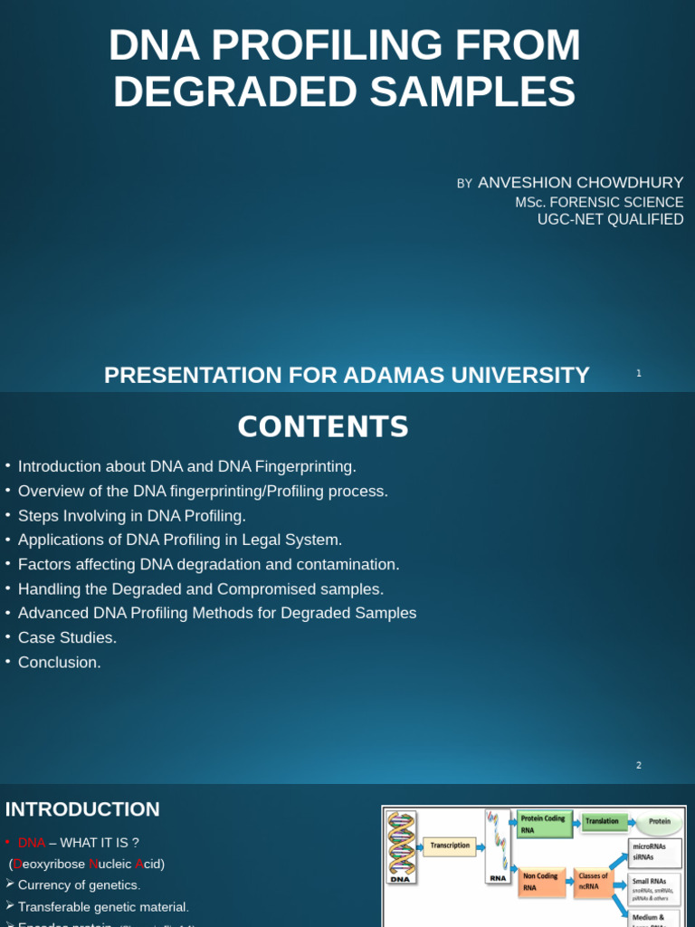 Dna Profiling In Degraded Samples [autosaved] Pdf Dna Dna Profiling