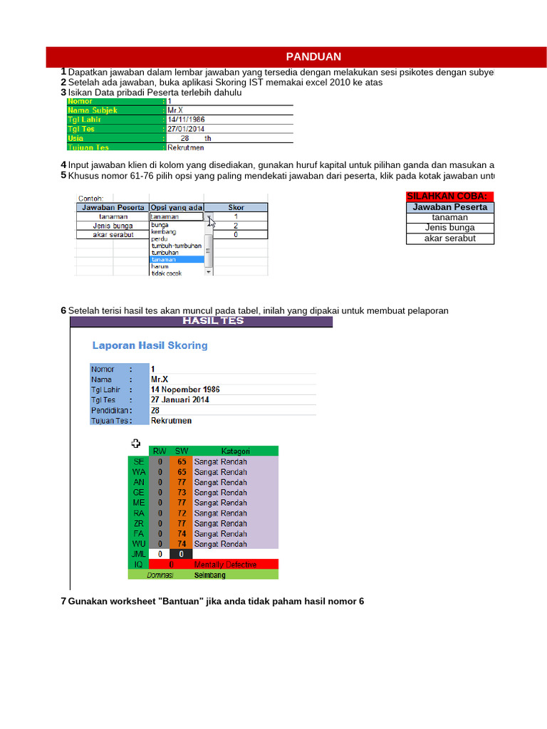 Aplikasi Skoring Ist | PDF
