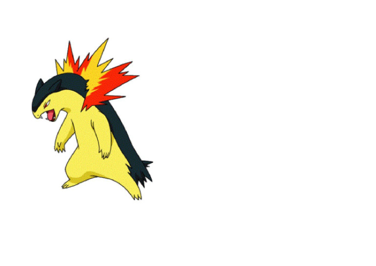 Typhlosion | PDF