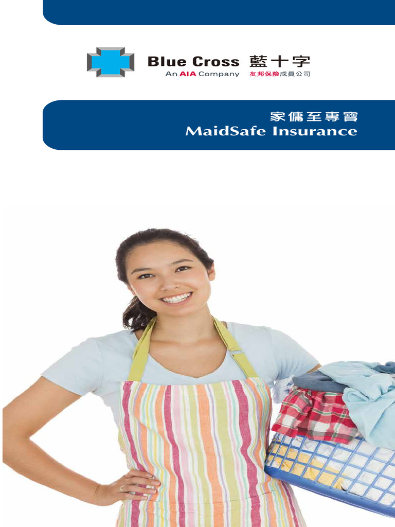 Comprehensive MaidSafe Insurance Plan | PDF | Insurance | Blue Cross ...