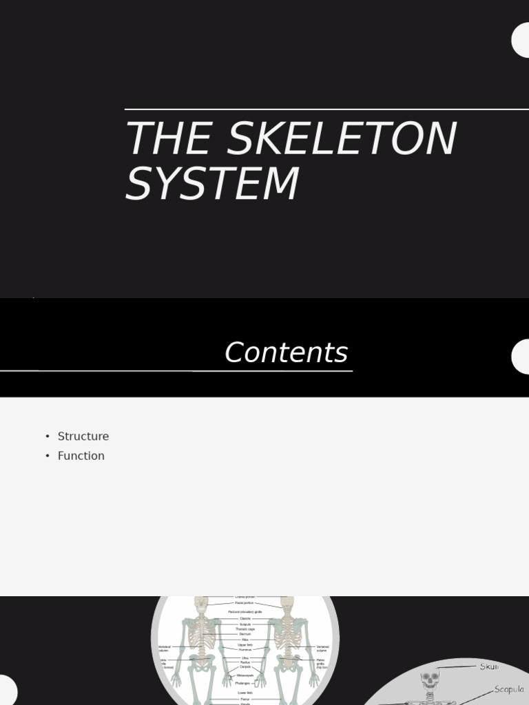 Overview of the Human Skeleton System | PDF