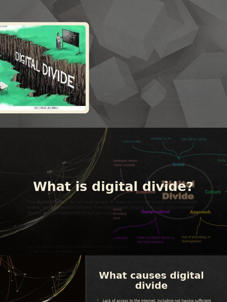 Digital Divide | PDF