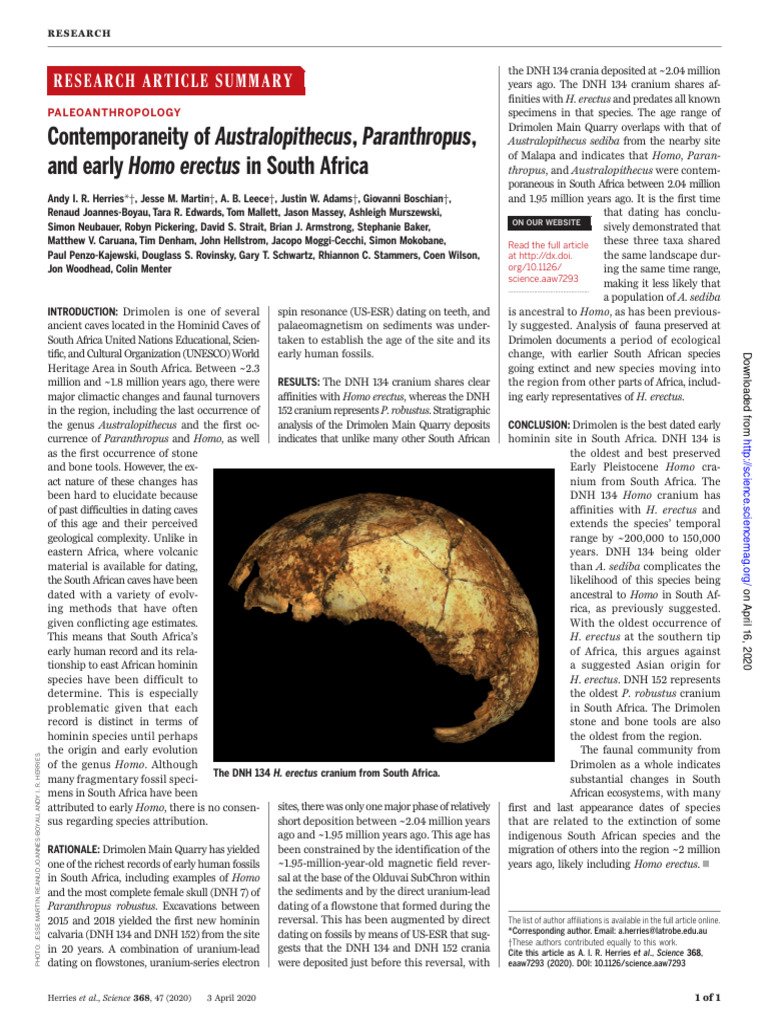 Contemporaneity of Australopithecus para | PDF | Homo | Paleoanthropology