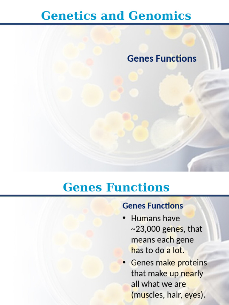Genes: Functions and Importance | PDF