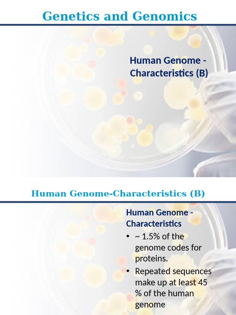Key Features of the Human Genome | PDF | Human Genome | Genome
