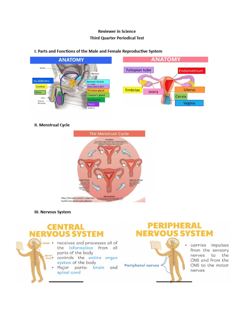 Reviewer Third Grading | PDF